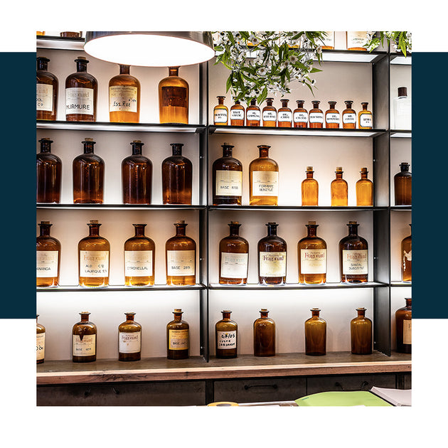 The history behind the most luxurious perfume ingredients – PARFUM MUSE